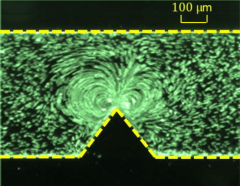 Waves, vibrations, instabilities and turbulence | MSC